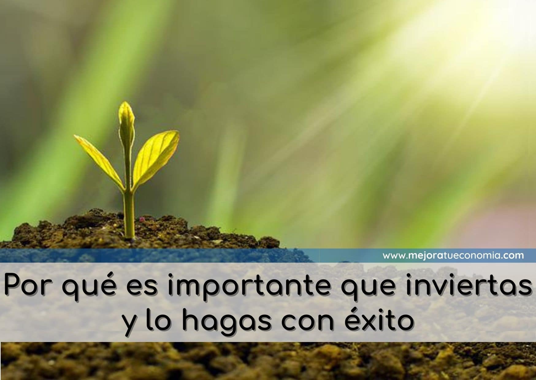 Por qué es importante que inviertas y lo hagas con éxito